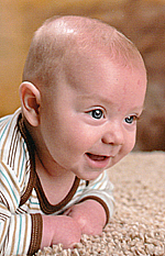 Sean J. Fink | News, Sports, Jobs - The Journal